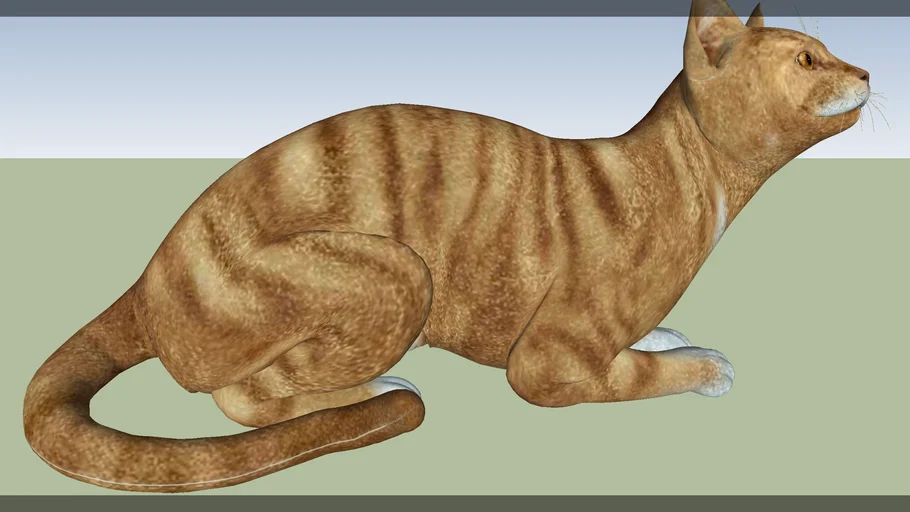 cat 3 | 3D Warehouse