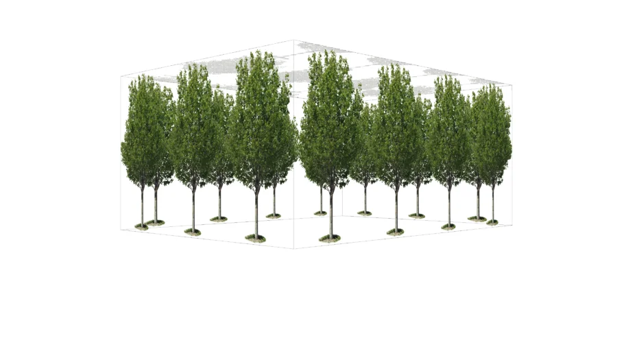 trees | 3D Warehouse