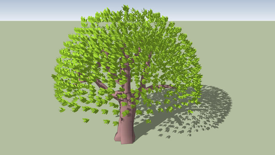 broadleaf tree | 3D Warehouse