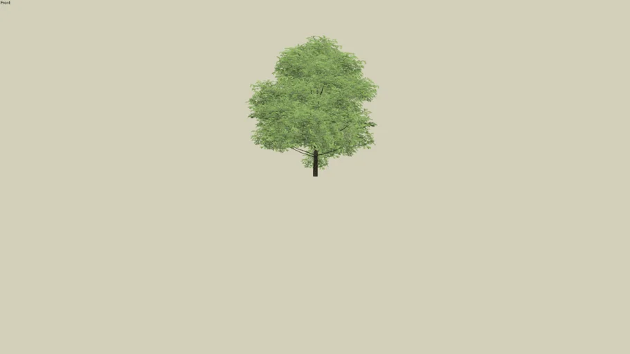arbol | 3D Warehouse