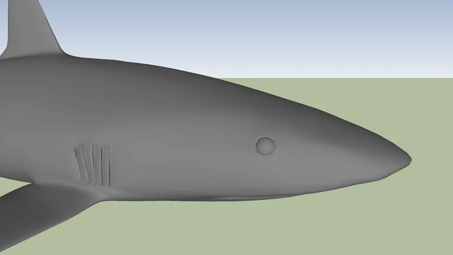 shark | 3D Warehouse