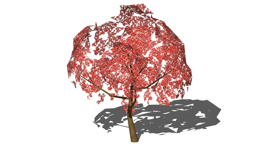Tree - Flowering and Fruiting - 03 | 3D Warehouse