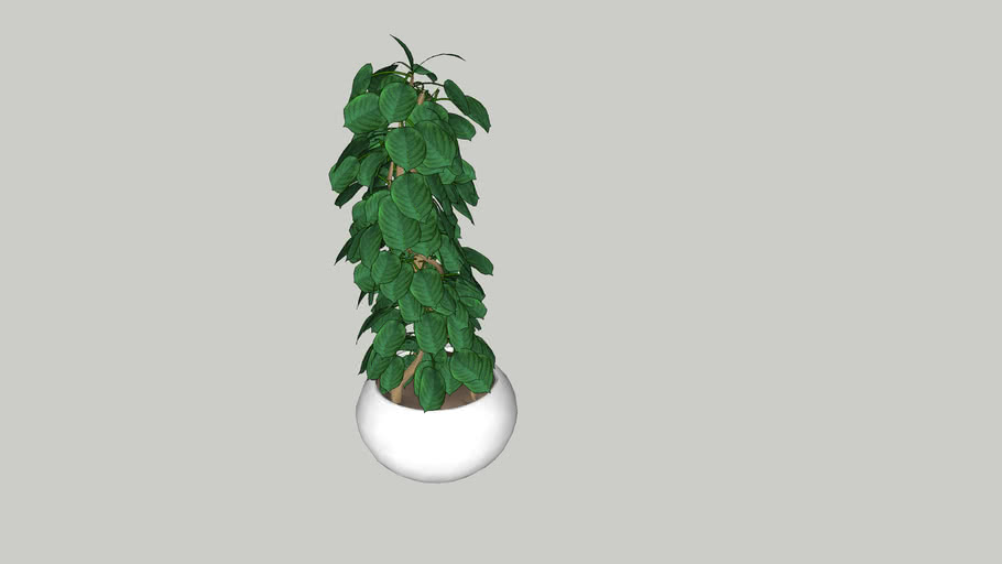 POTS PLANT (5).skp | 3D Warehouse