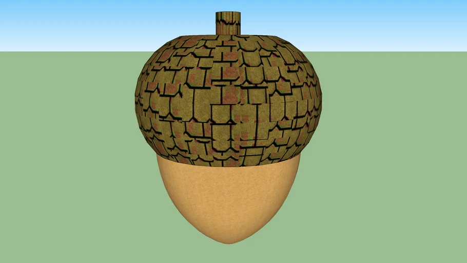 Acorn | 3D Warehouse