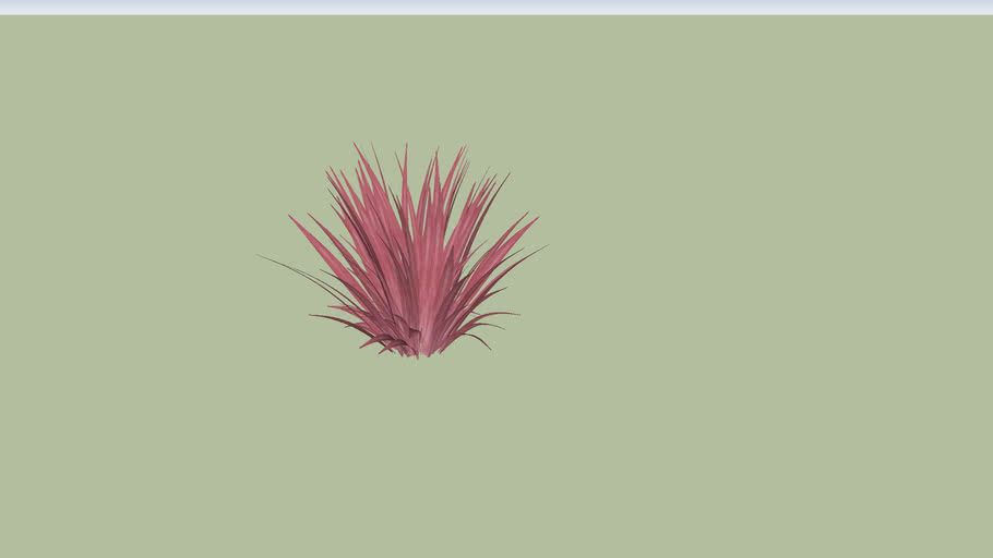 Formio rosa | 3D Warehouse