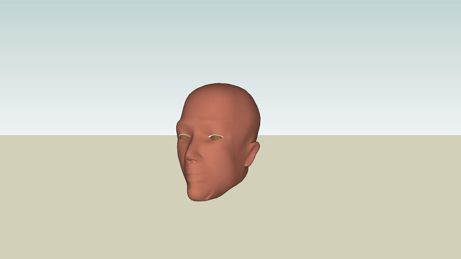 Face | 3D Warehouse