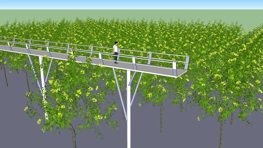 sky walk | 3D Warehouse