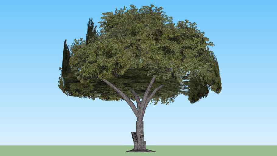 aaaaa | 3D Warehouse