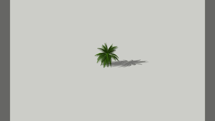 coconut tree | 3D Warehouse