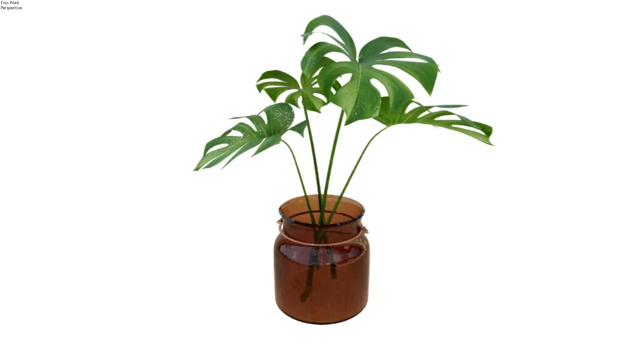 MC-PLANT VASE (MONSTERA) | 3D Warehouse