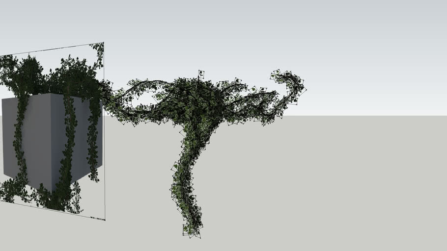 leaf plant | 3D Warehouse