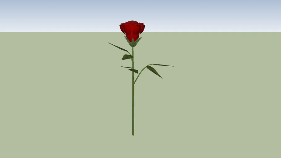 Red Rose 1 | 3D Warehouse