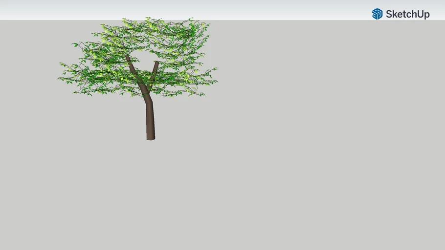 Tree | 3D Warehouse