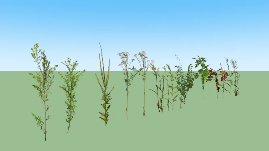 Vegetation set 2 | 3D Warehouse