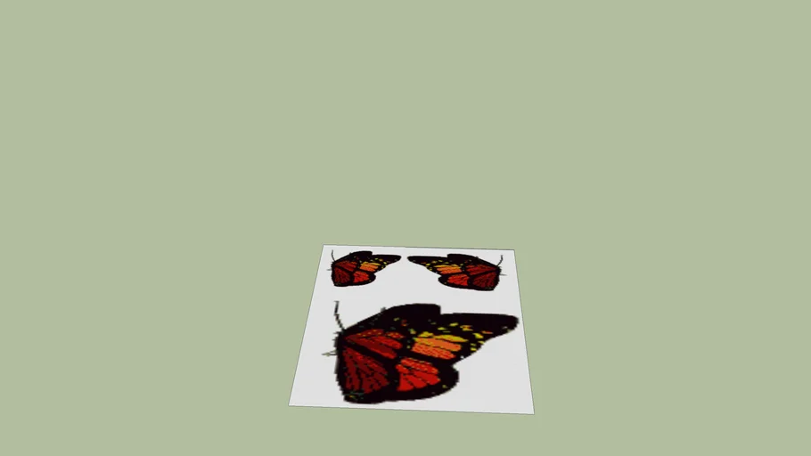 Butterflys | 3D Warehouse