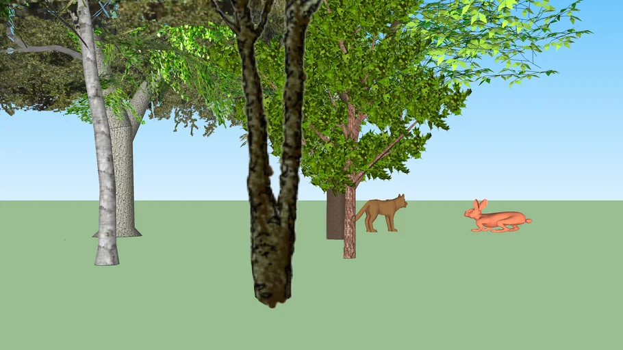 session 5 temperate forest | 3D Warehouse