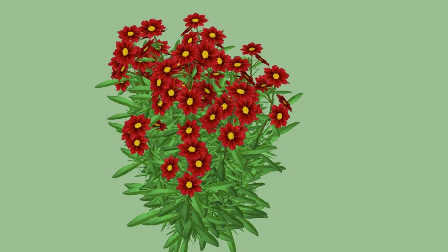 Coreopsis 'Mercury Rising' | 3D Warehouse