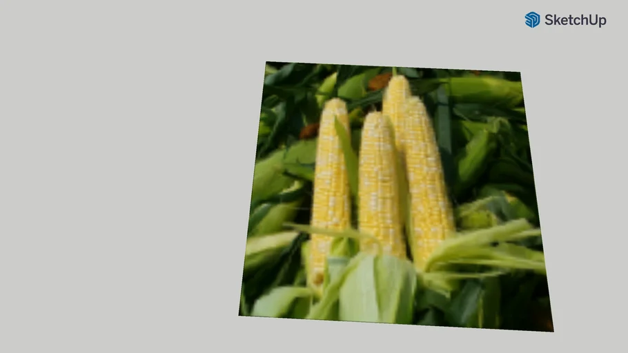 CORN FIELD | 3D Warehouse