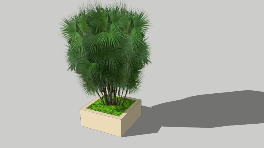 PLANT | 3D Warehouse