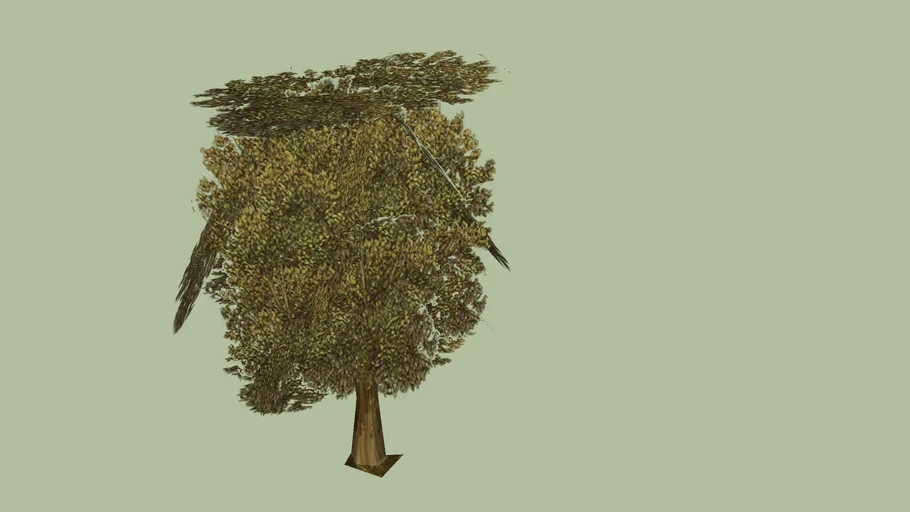 tree | 3D Warehouse