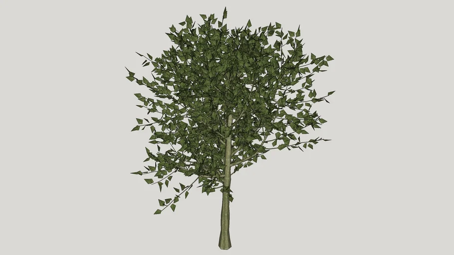 Generic Tree | 3D Warehouse