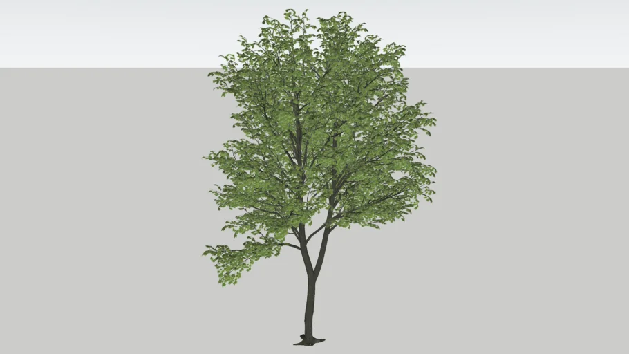 CAY-001 | 3D Warehouse