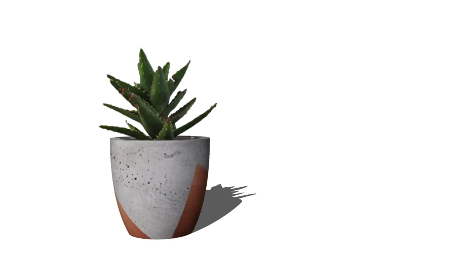 Plant_pot | 3D Warehouse