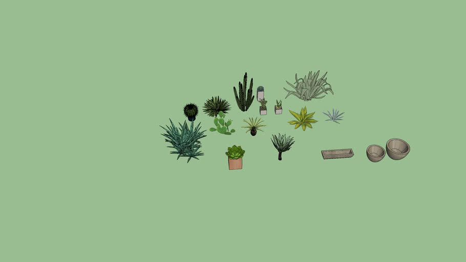 CACTUS | 3D Warehouse