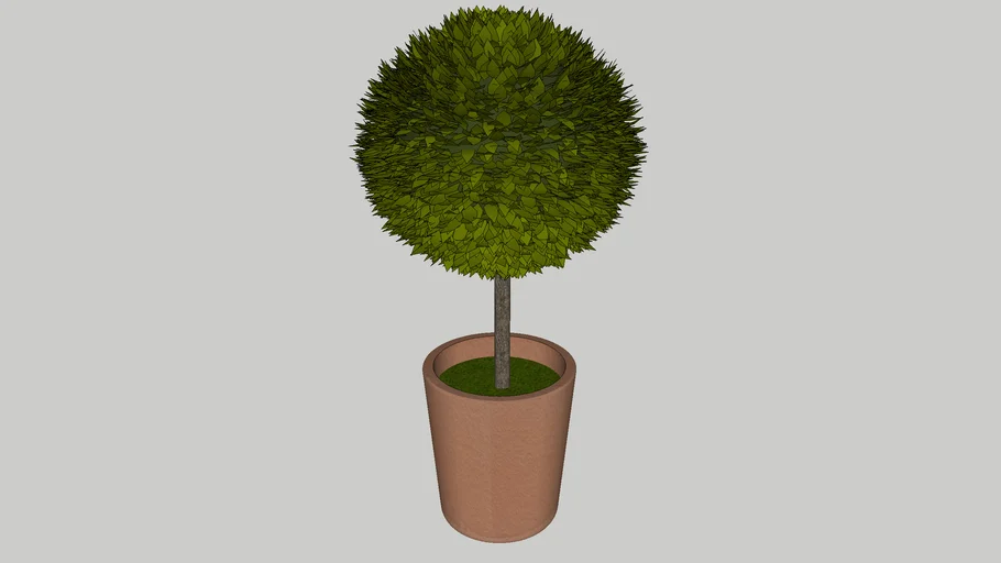 plant_flower_Terracotta pots_chau cay dat nung_hoa 2 | 3D Warehouse