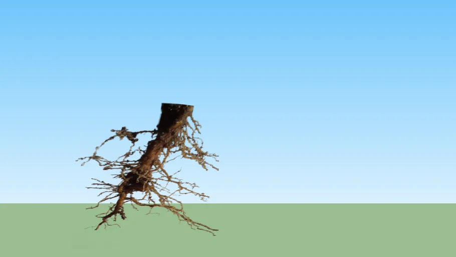 Roots - Model 5 | 3D Warehouse