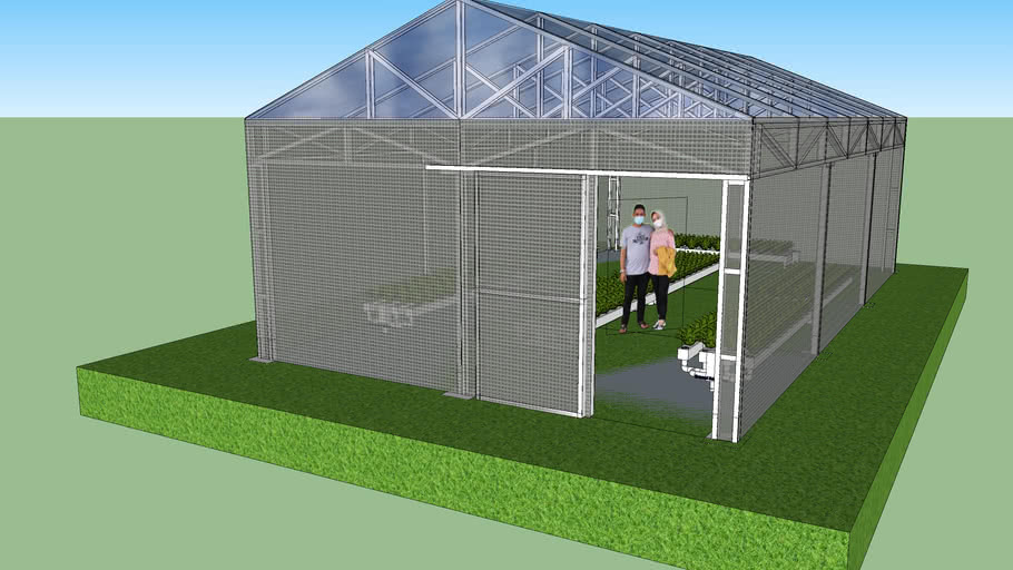 green house hidroponik | 3D Warehouse