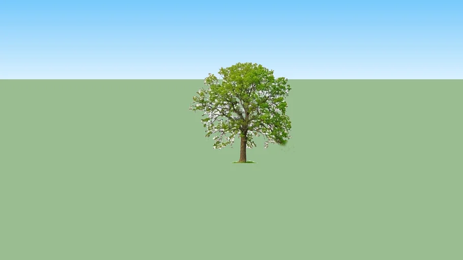 2d Face-Me Oak | 3D Warehouse