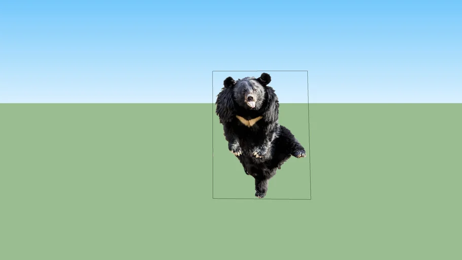 2d_sloth_bear | 3D Warehouse