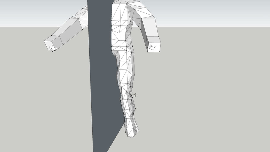 Human Body Build | 3D Warehouse