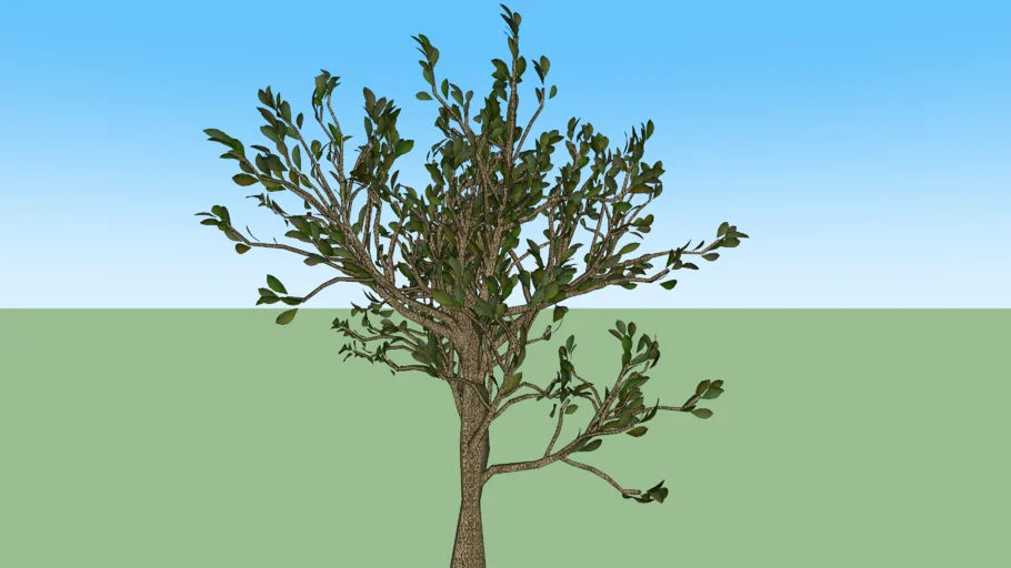 ARVORE | 3D Warehouse