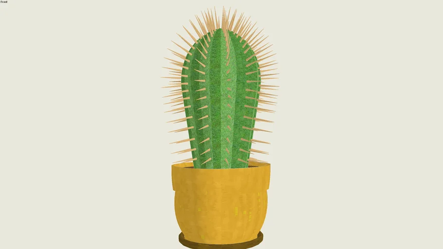 Cactus | 3D Warehouse