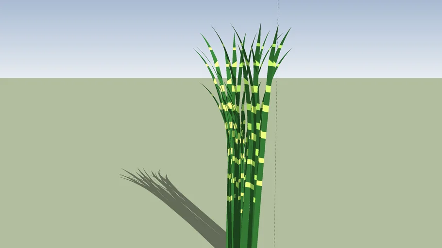 ornamental grass | 3D Warehouse