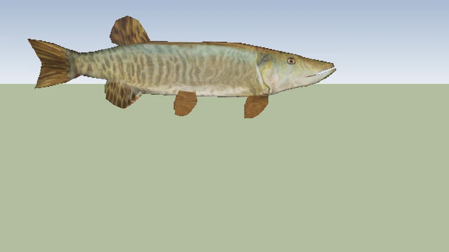 Muskellunge | 3D Warehouse