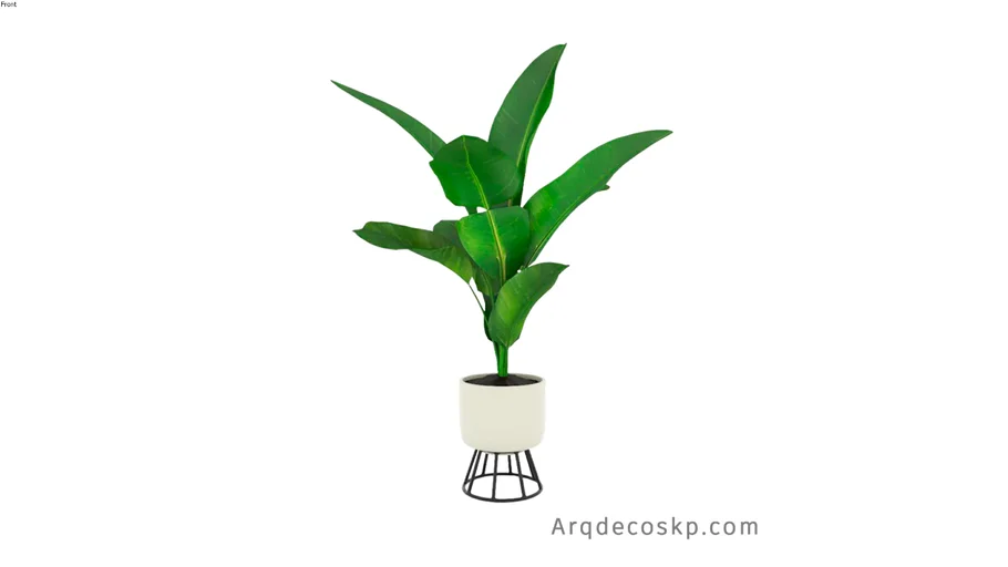 Planta / Plant / Plantar | 3D Warehouse