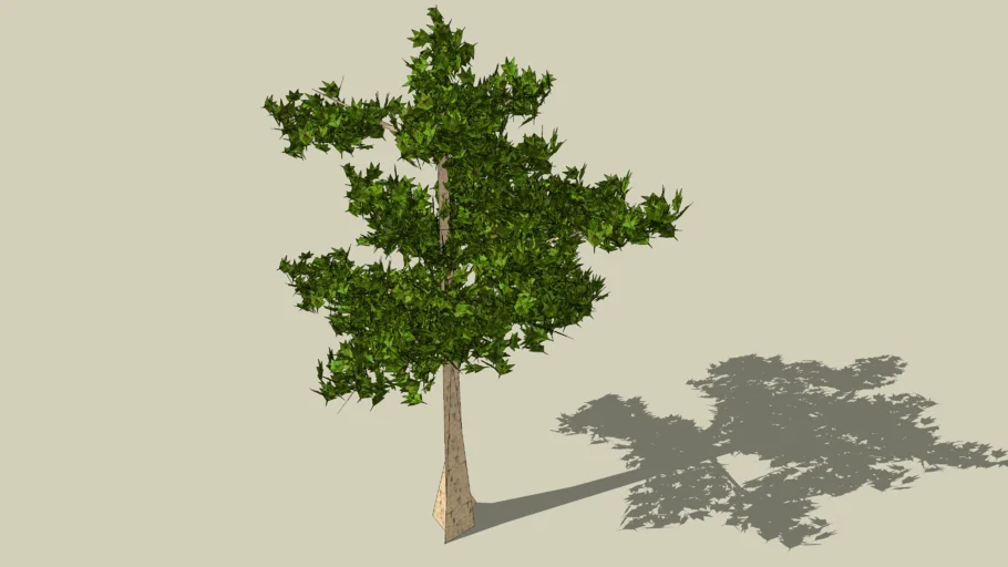 Detailed Tree maple] | 3D Warehouse