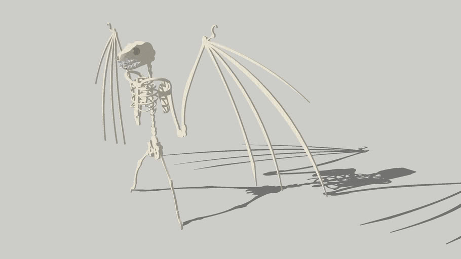 Bat Skeleton | 3D Warehouse