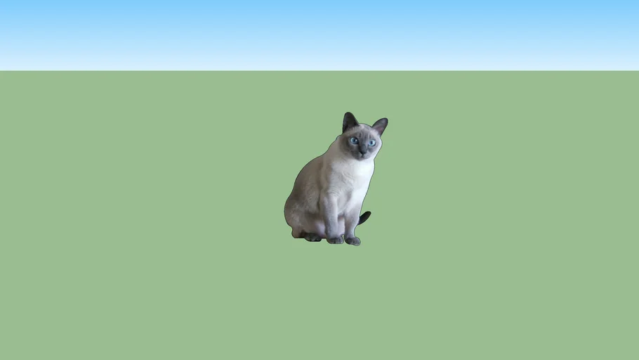 Tonkinese Cat | 3D Warehouse
