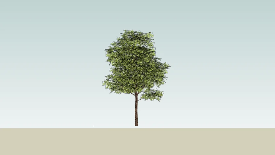 Tree 3D Ash | 3D Warehouse