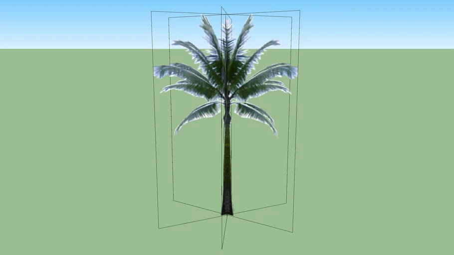palm tree | 3D Warehouse