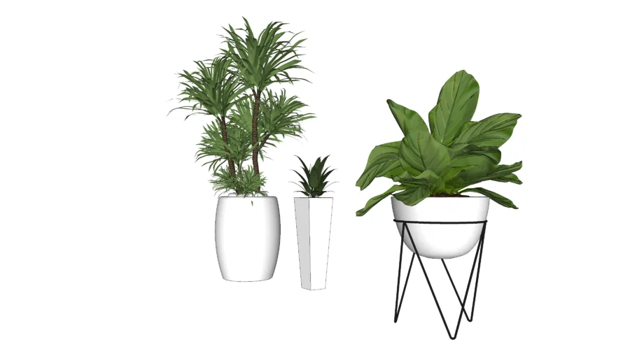 PLANTAS | 3D Warehouse