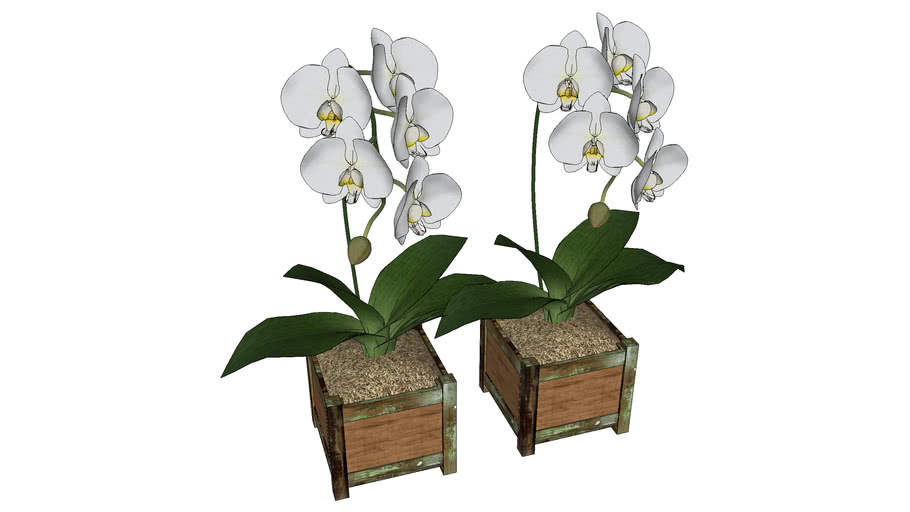 VASE (44).skp | 3D Warehouse