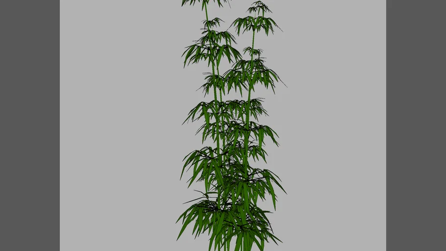 trees | 3D Warehouse