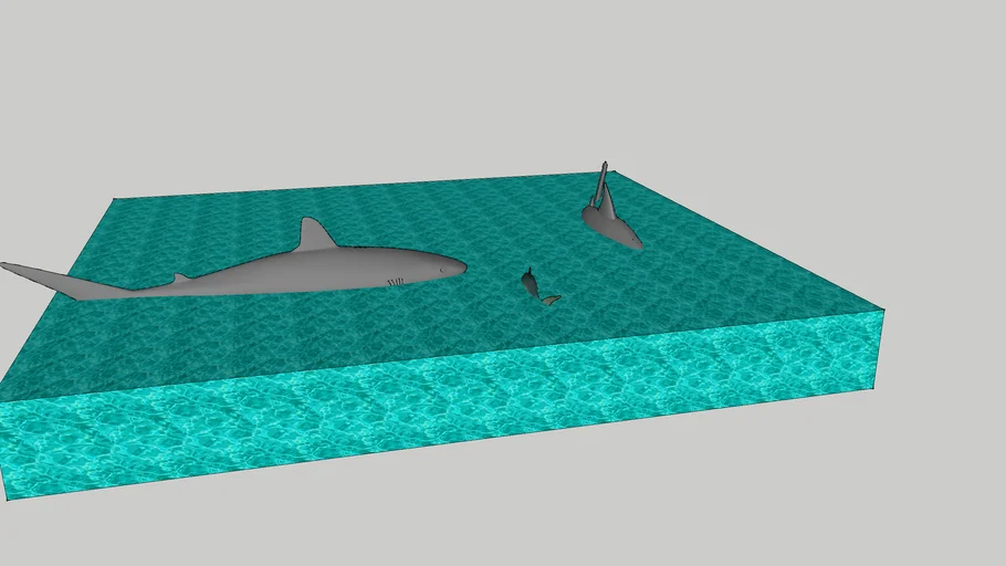 shark | 3D Warehouse