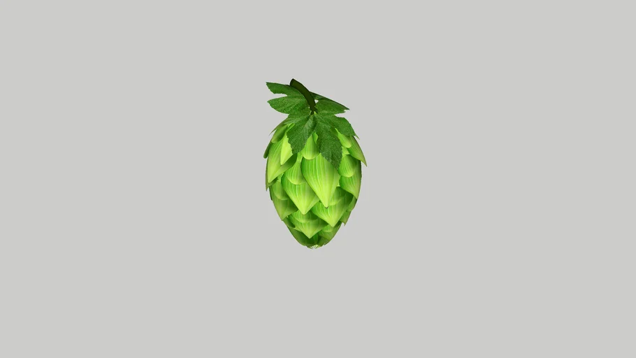 Hops | 3D Warehouse