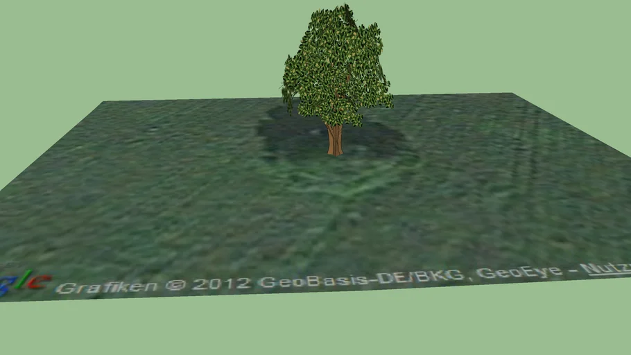 Baum im Saaletal | 3D Warehouse